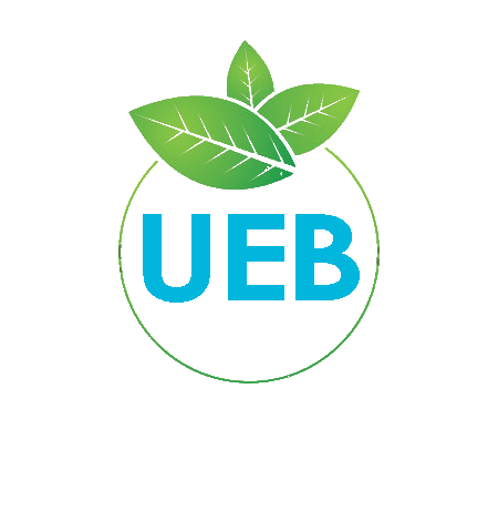 feuille UEB | Origenplus